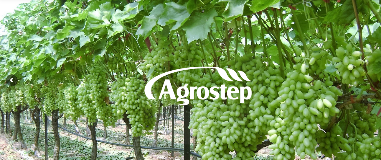 Agrostep Ε.Π.Ε. | | Cretacom.gr: ηλεκτρονική πλατφόρμα επιχειρήσεων ...